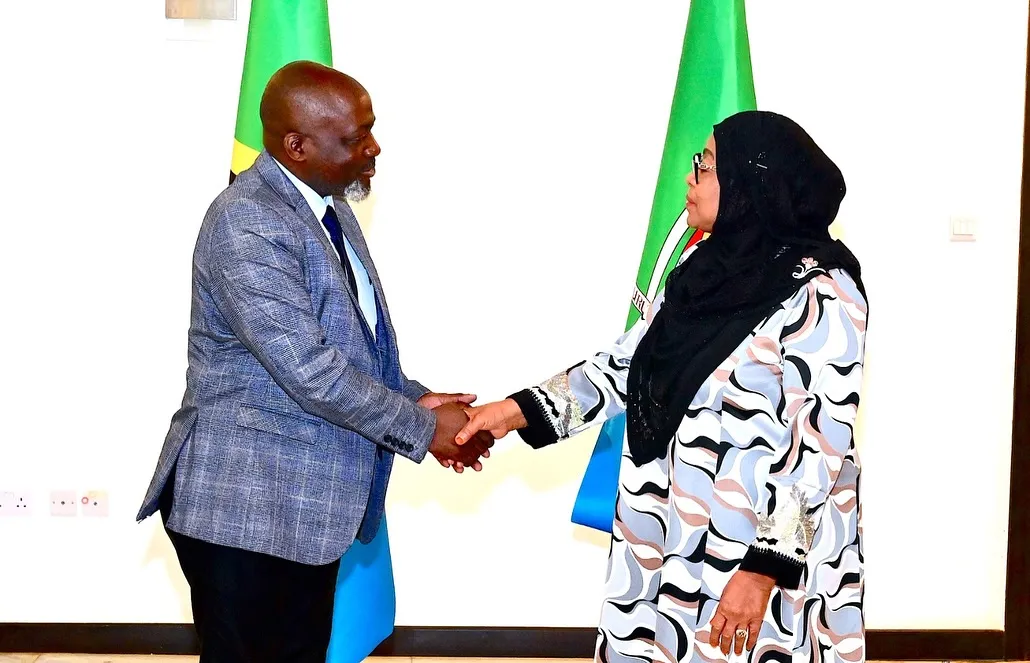 Rais Samia Akutana na Rais wa TLS Boniface Mwabukusi Ikulu Chamwino ...