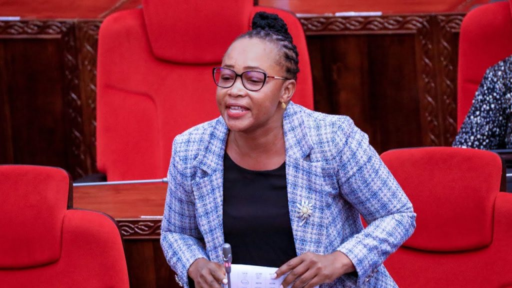 Esther Matiko Ateuliwa na CCM Kugombea Ubunge Tarime Mjini | UDAKU SPECIAL